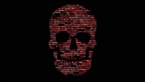 Concept Of Computer Security The Skull Of The Hexadecimal Code Pirate