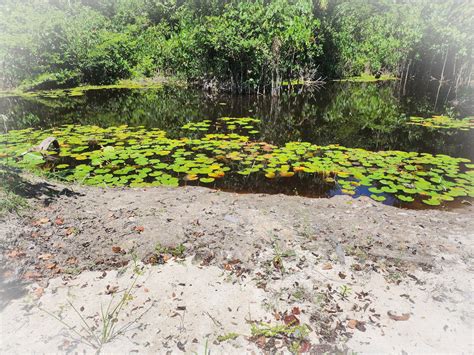 Bubbley Bliss Bubbley Bliss Added A New Photo