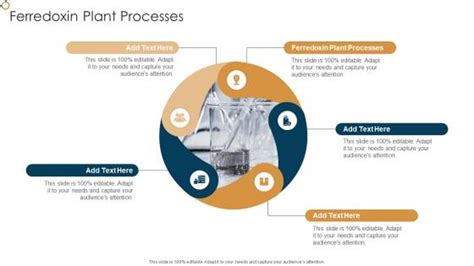 Ferredoxin Plant Processes PowerPoint Presentation And Slides SlideTeam