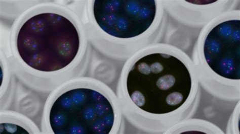 In Conference Branding Pexip Service Help