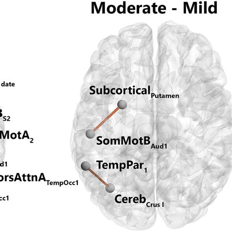 Patterns Of Significantly Different Functional Connectivity In The Download Scientific Diagram