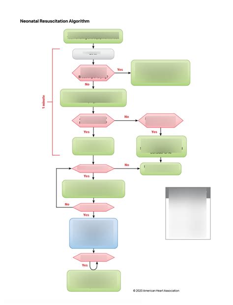 Aha Neonatal Resus Algorithm Diagram Quizlet