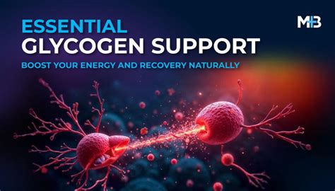 Essential Glycogen Support Boost Your Energy And Recovery Naturally