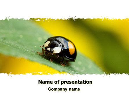 Insect PowerPoint Templates And Google Slides Themes Backgrounds For Presentations