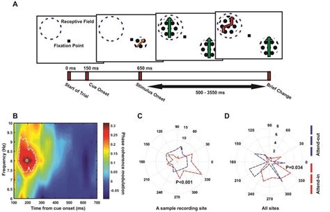 Attention Modulates Phase Coherence A Behavioral Paradigm Each Download Scientific Diagram