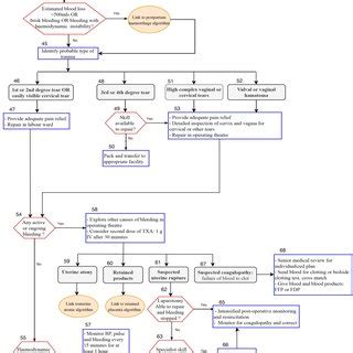 Algorithm 3 Genital Tract Trauma Download Scientific Diagram