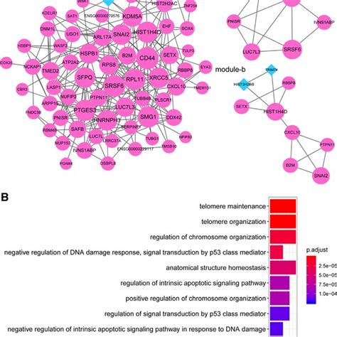 Ppi Network Analysis Of Degs A The Ppi Network And 2 Submodules Of