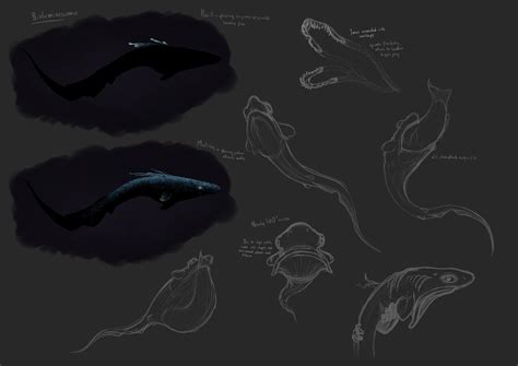 Pelican Shark Deep Sea Shark Species I Created For Speculative Evolution Art Contest R