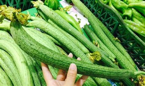 夏天養生必吃4種瓜！多吃讓你身體頂呱呱 可惜很多人都不知道