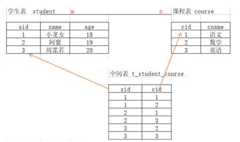 Mysql Database Basic Operation 5 Multi Table Relationships And
