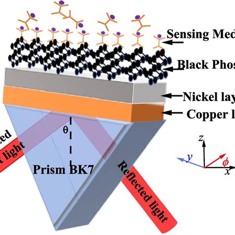 Experimental Feasibility Of Proposed Spr Sensor Download Scientific