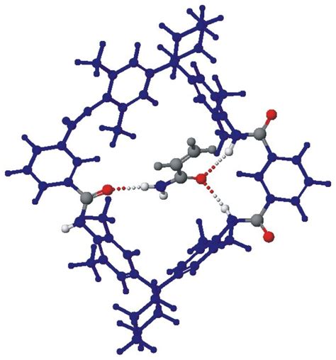 Am1 Optimized Structure Of The Complex Of Tetralactam Macrocycle 5 With