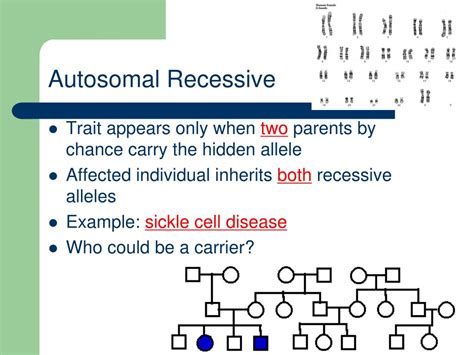 Ppt Pedigrees And Sex Linked Traits Powerpoint Presentation Free