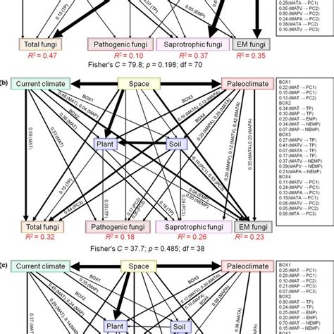 Structural Equation Models Sems Accounting For The Direct And
