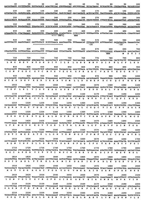 Nucleotide Sequence Of The DNA Fragment Containing The Entire Download Scientific Diagram