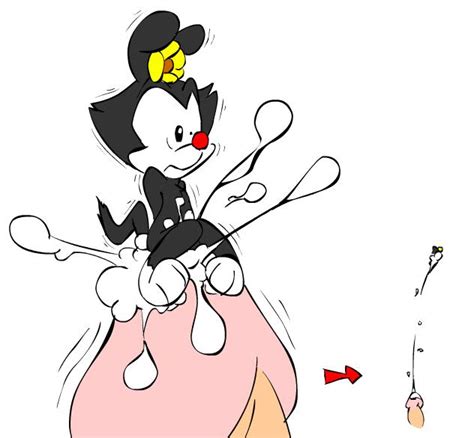Rule 34 Animaniacs Black Fur Color Cum Dot Warner Female Feral Flower Fur Ishoka Male Nude