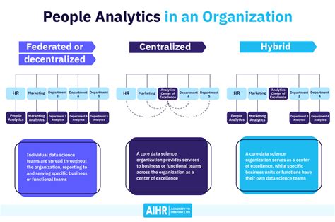 Building Your People Analytics Team Tips For Success AIHR