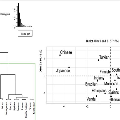 A Dendrogram Cluster Showing Relatedness Between Moroccan Population Download Scientific