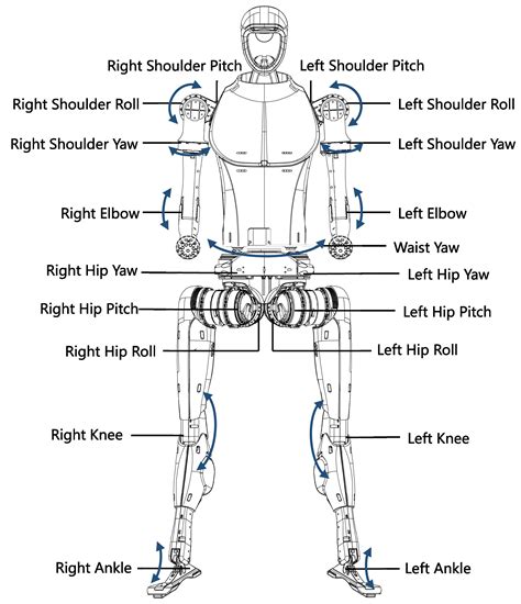 Autodiscovery H1 And H1 2 Humanoid Robot