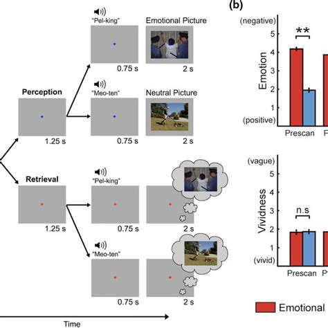 Comparison Between Visual Representations With Higher Order Cortical Download Scientific