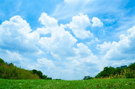 공원과 밝은 하늘 밝은 공기의 신선한 녹색 잔디 사진 배경 및 무료 다운로드를위한 그림 Pngtree