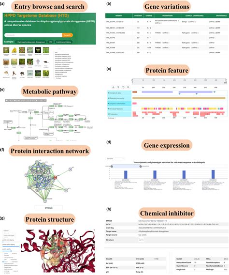 Overview Of The Utilization And Functional Features Of The HPPD Download Scientific Diagram