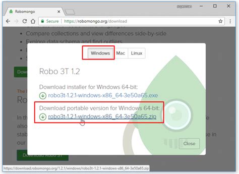 Cài đặt Và Sử Dụng Robo 3t Robomongo Trên Windows Stackjava
