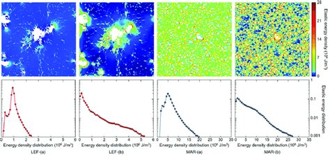 Elastic Simulations Of The Two Porous Mesostructures Originating From Download Scientific