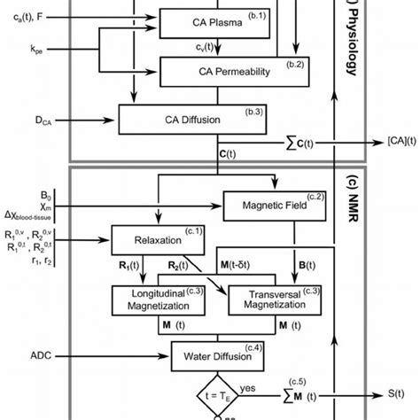 Algorithm Sketch Of The Simulation Only The Most Important Parameters