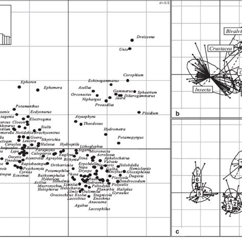 Results Of A Fuzzy Correspondence Analysis Of The Biological Trait Download Scientific Diagram