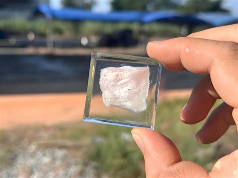 Exploring The Versatility Of Epoxy Resins Applications Benefits And