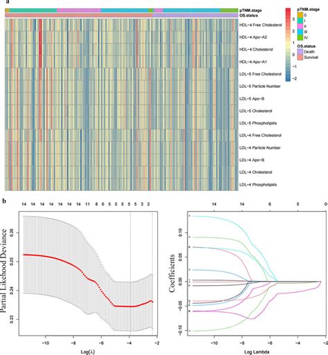 The Analysis Of 14 Variables Selected By Univariate Analysis For Os A