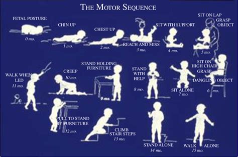 Difference Between Motor Development And Motor Learning At Jeannine Stewart Blog