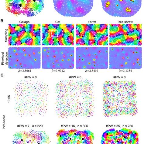 Detecting Pinwheels In Visual Cortex Maps Of Mammals And In The Visual Download Scientific