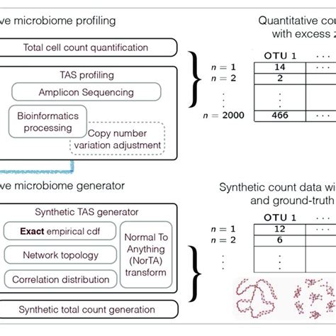 summary of the workflow for quantitative microbiome profiling qmp