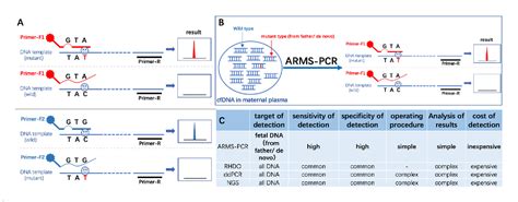 Figure 1 From Applying Amplification Refractory Mutation System Technique To Detecting Cell Free