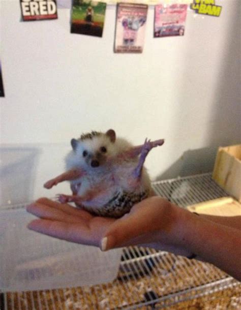 Php Помогите распарсить Json на Json Stack Overflow на русском