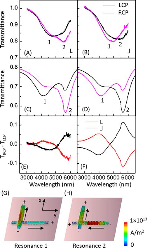 Circular Polarization Transmittance Spectra In Experiment For A Download Scientific Diagram