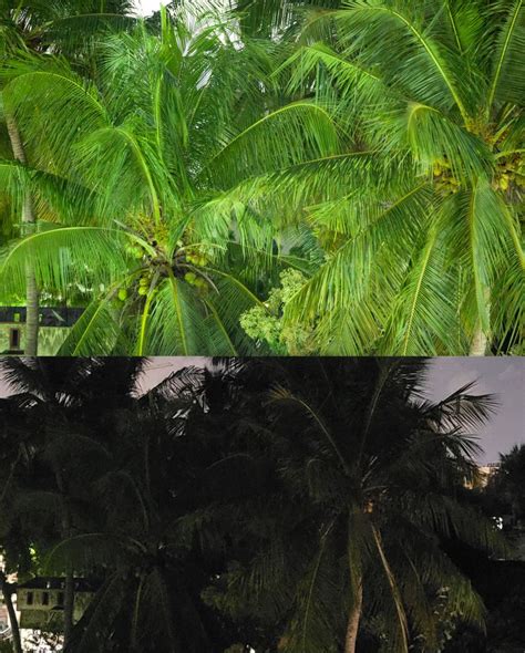 Sarvesh R On Linkedin Newsetup