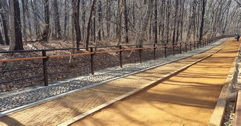 시를 몇 개나 암송할 수 있나요