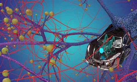 Locust Swarm Could Improve Collision Avoidance Nexus Newsfeed