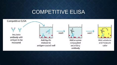 Enzyme Linked Immuno Sorbent Assay Ppt