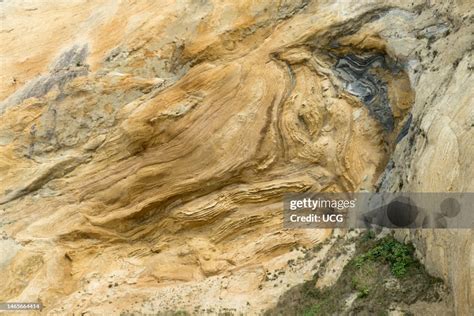 Soft Sediment Deformation In Sandstone Of The Miocene Astoria News