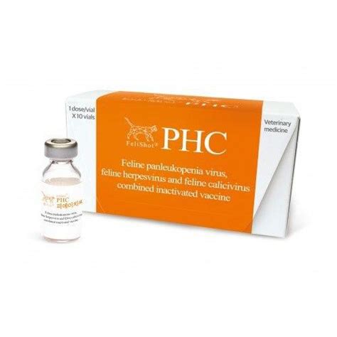 Invet Ge ფელიშოტი