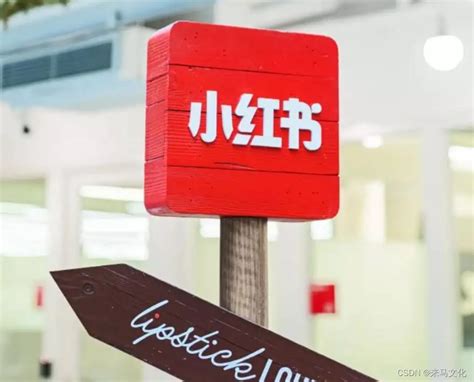 小红书达人等级划分？小红书垂类达人怎么看 Csdn博客