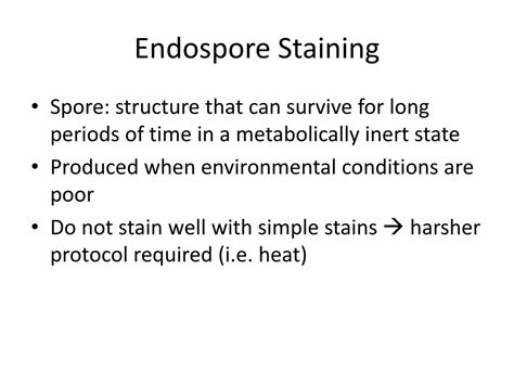 PPT Differential Staining Techniques PowerPoint Presentation Free