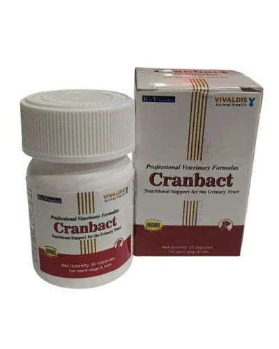 Cranbact Capsules For Dogs And Cats For Hospital At ₹ 1000bottle In