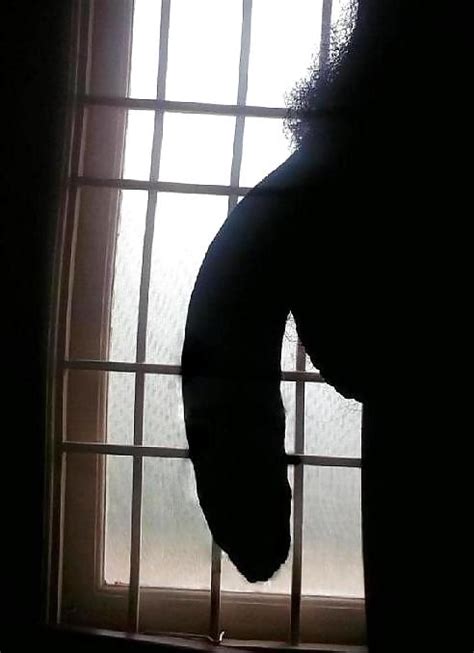 Silhoutte Porn Pictures Xxx Photos Sex Images 1240419 Pictoa