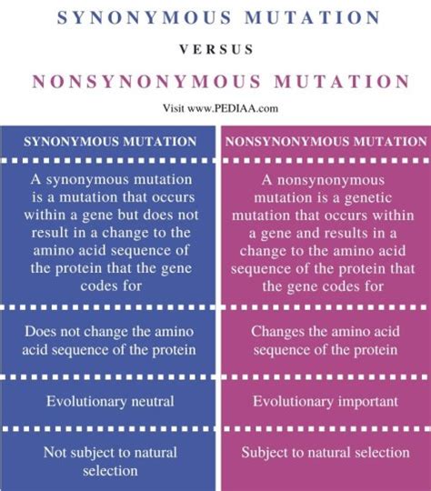 What Is The Difference Between Synonymous And Nonsynonymous Mutation