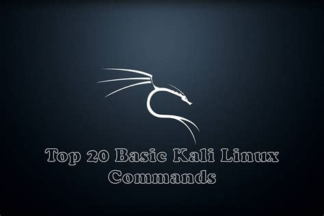 Top 20 Basic Kali Linux Commands Kali Linux 2023 1 TECH DHEE